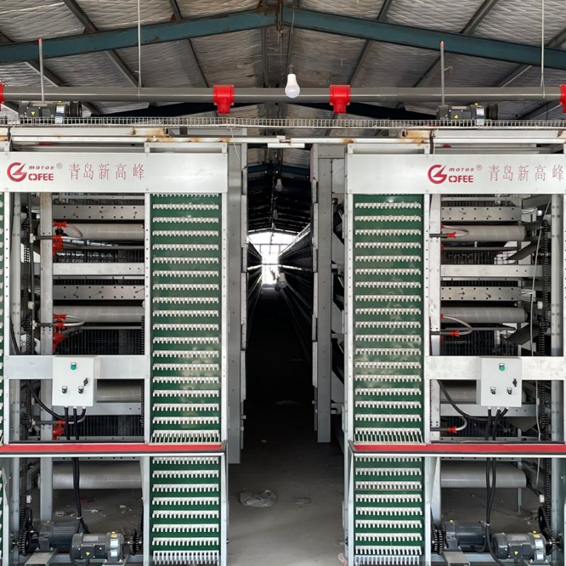 egg system, egg picking machine, poultry equipment